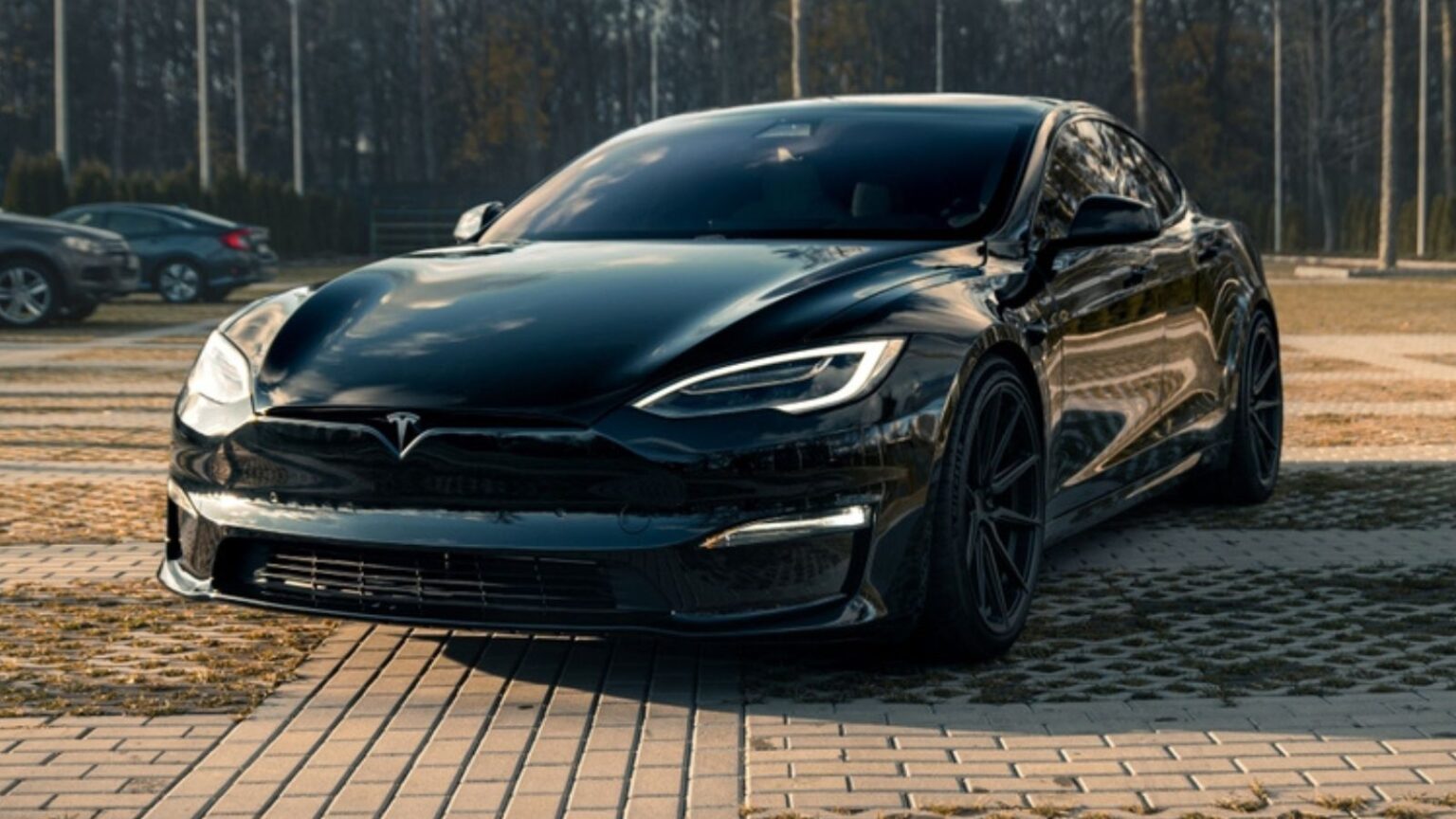 14 Things the Color of Your Vehicle Reveals About Your Personality ...