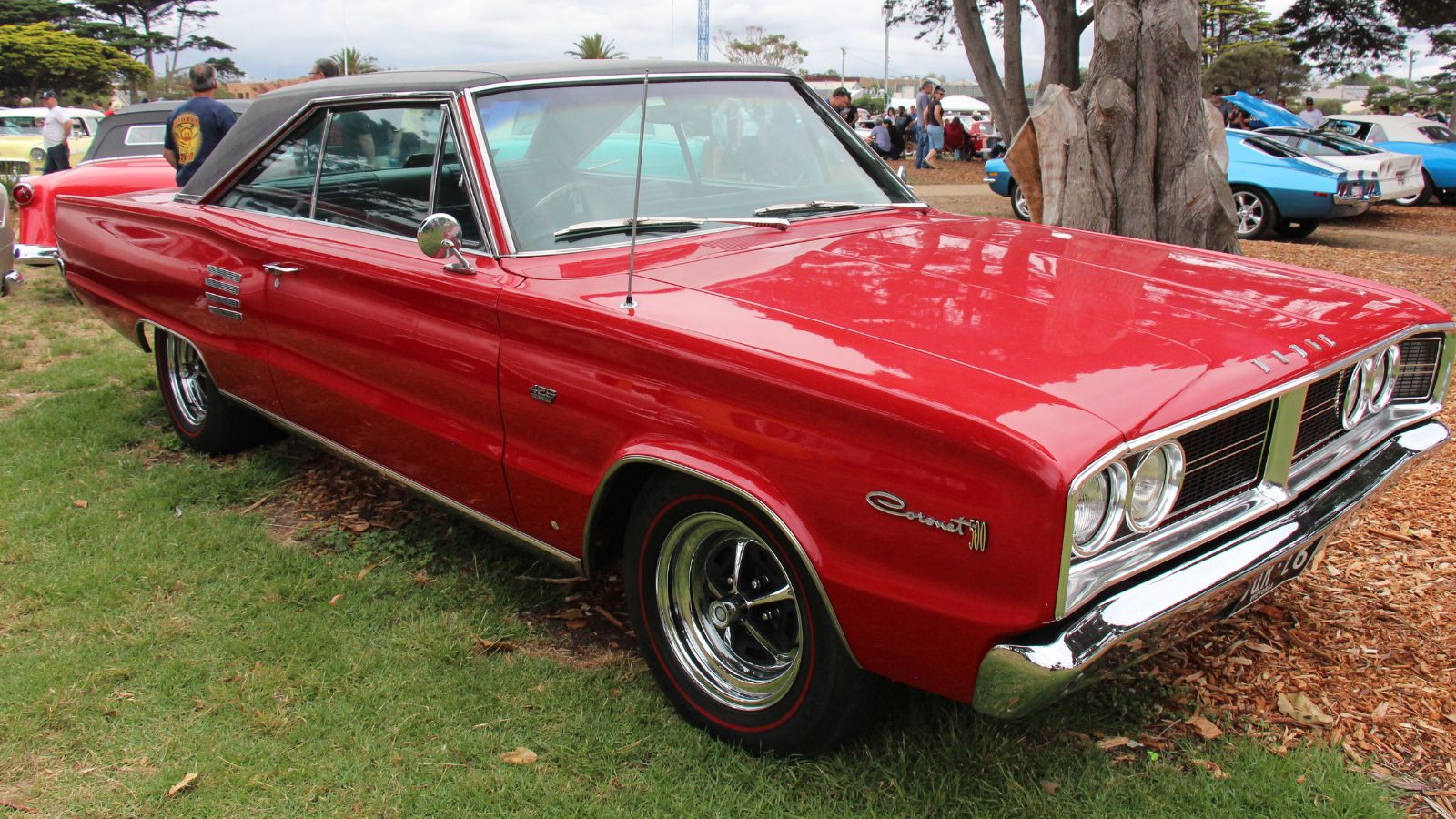 15 Iconic Muscle Cars from the Golden Age of the ’60s - Driver's Drift