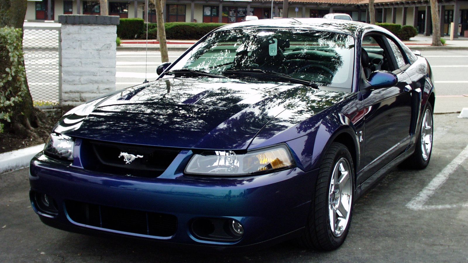 15 of the Greatest Ford Mustangs of All Time - Driver's Drift