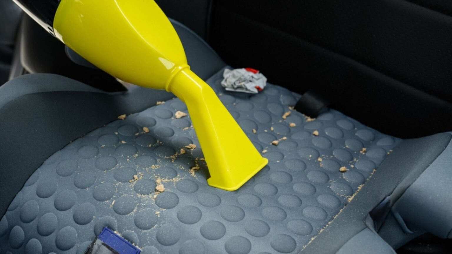 16 Ways to Keep Mice Out of Your Car - Driver's Drift