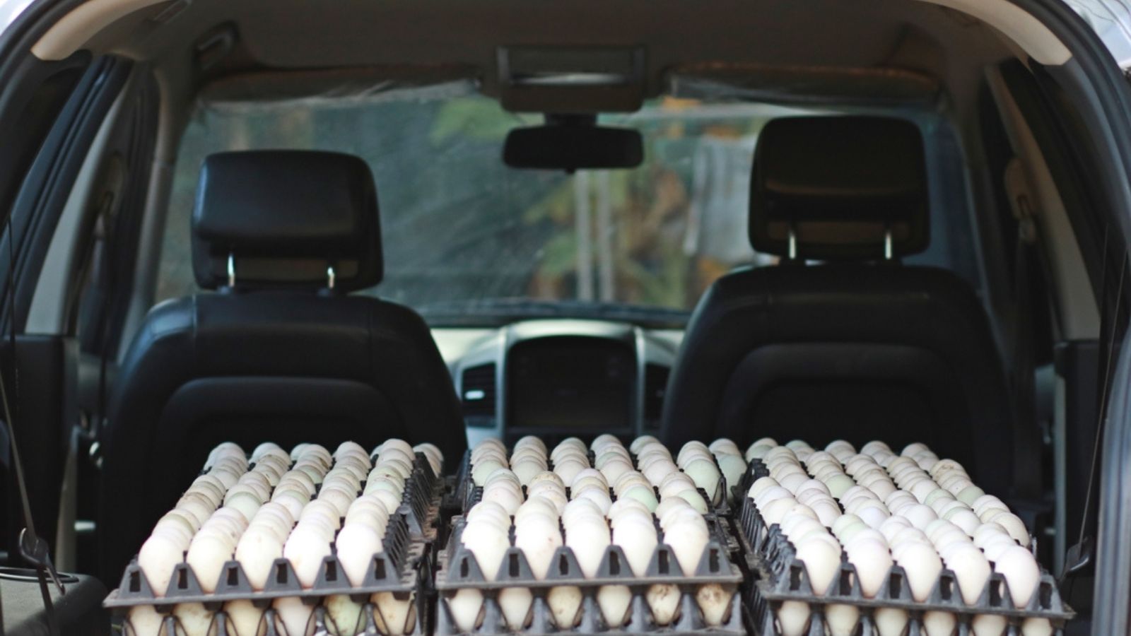 15 Things You Should Never Leave in Your Vehicle During the Winter ...
