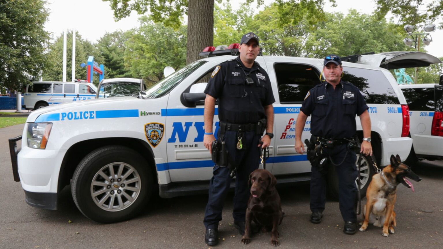 16 Fun Facts About Police Cars That You Probably Never Thought About ...